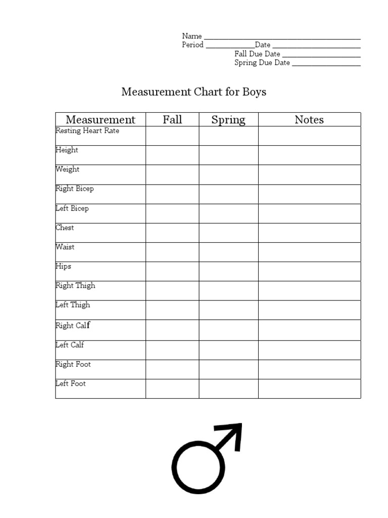 Measurement Sheets | PDF