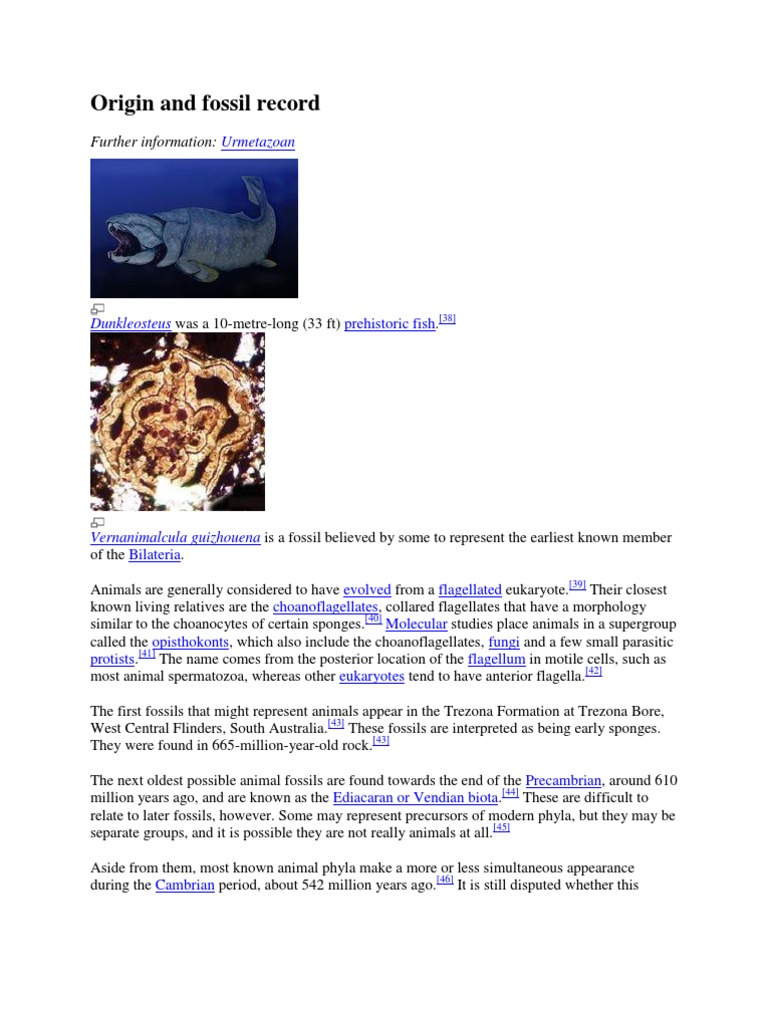 Prehistoric Fish and Animal Evolution | PDF | Fossil | Organisms