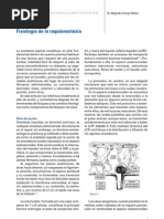 Torax LeÑoso | PDF