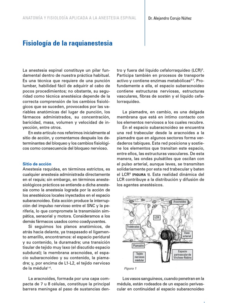 Fisiologia de La Raquidea | PDF | Corazón | Nervio