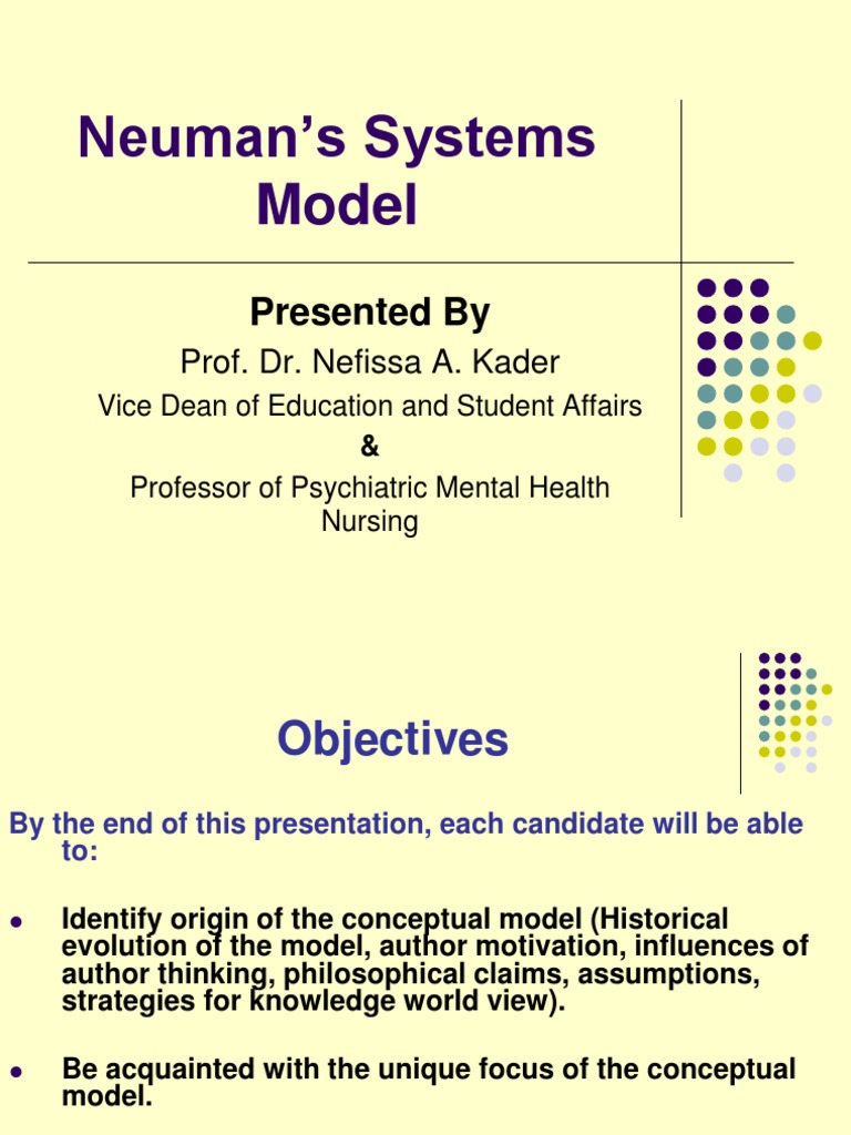 Neuman | Conceptual Model | Holism
