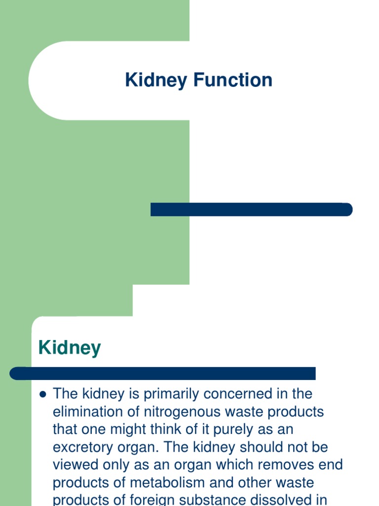 Kidney Function Tests Explained | PDF