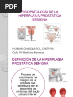 Mapa Conceptual - Hernias | PDF