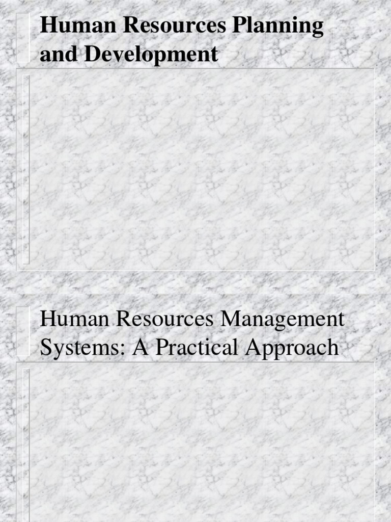 Human Resources Planning and Development | PDF | Succession Planning ...