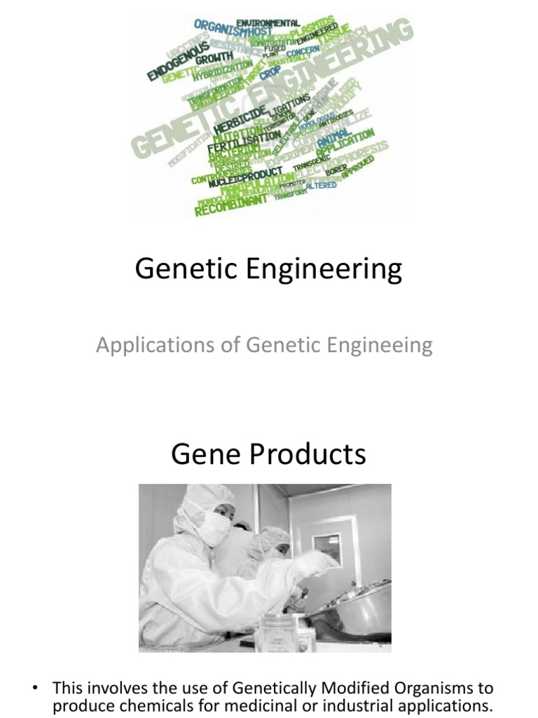 Genetic Engineering: Applications of Genetic Engineeing | PDF | Insulin ...