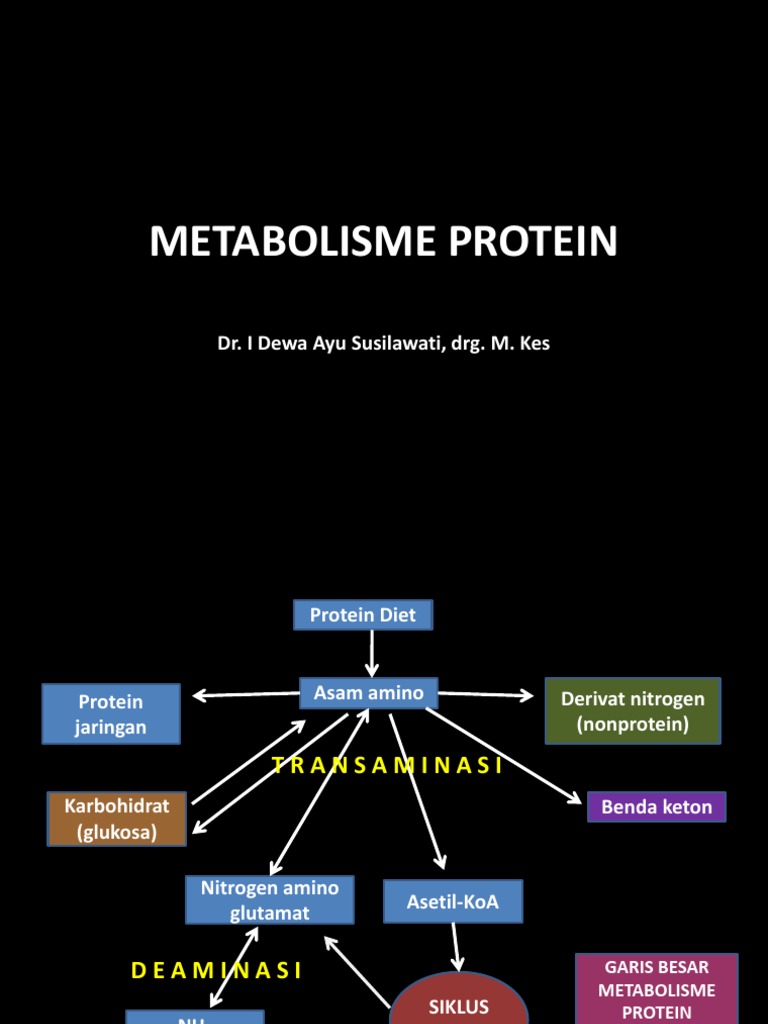 Metabolisme Protein (Autosaved) | PDF | Cooking, Food & Wine | Science ...