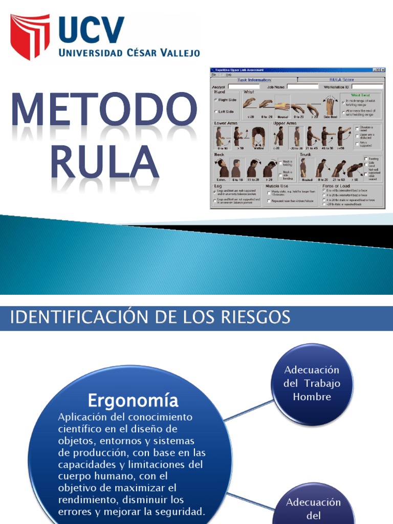 Metodo Rula | Factores humanos y ergonomía | Método científico