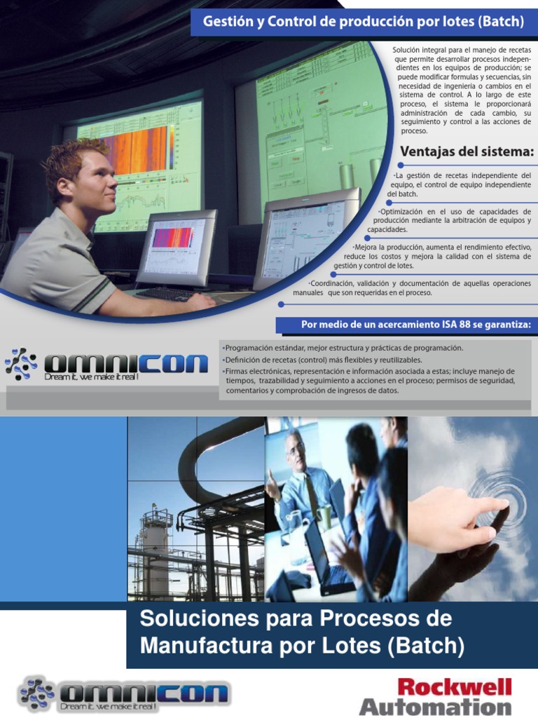 Proceso Batch | PDF | Alimentos | Informática