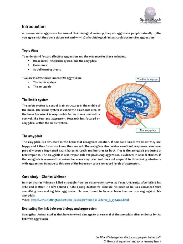 Year 11 Psychology - Topic C - Lesson 01 Biology of Aggression and ...