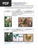 HMIS 322 Exam Questions | PDF | Epidemiology | Health Care