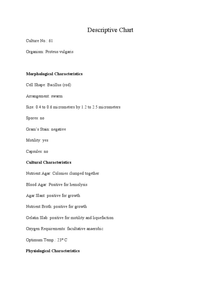 Proteus Vulgaris Morphology