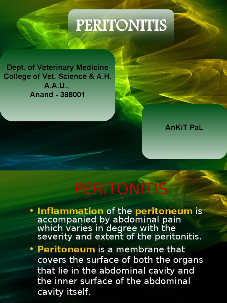 Peritonitis in Animals | PDF | Gastroenterology | Diseases And Disorders