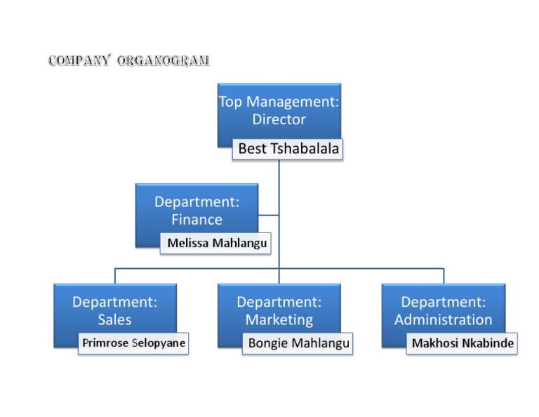 Company Organogram | PDF