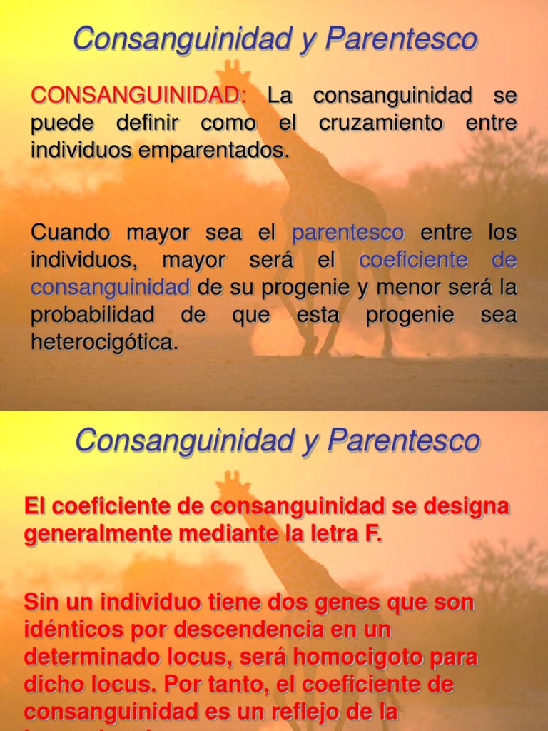 Cálculo de Consanguinidad y Parentesco | PDF