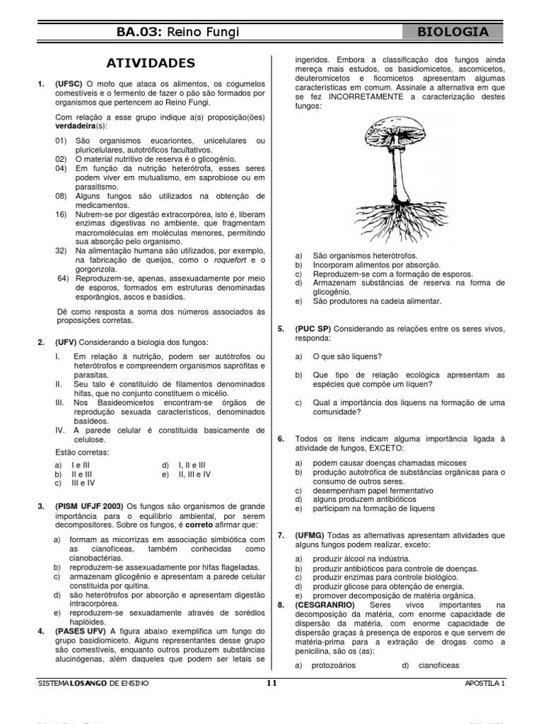 BA.03 Reino Fungi | PDF | Fungo | Reprodução