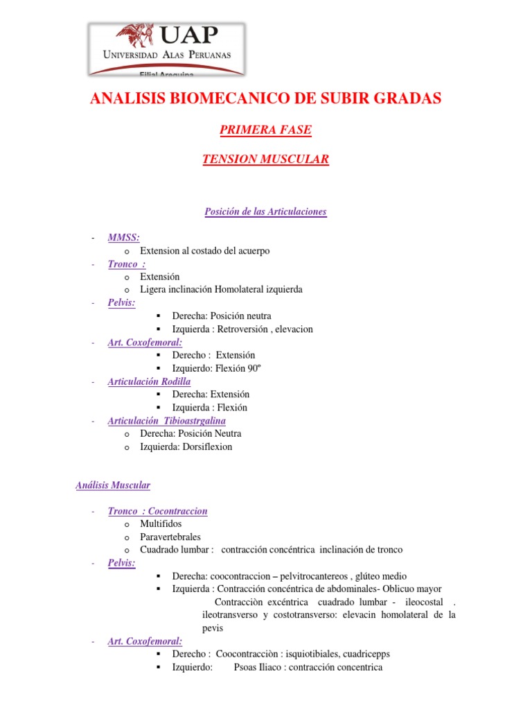 Analisis de Subir Gradas | Descargar gratis PDF | Contracción muscular ...