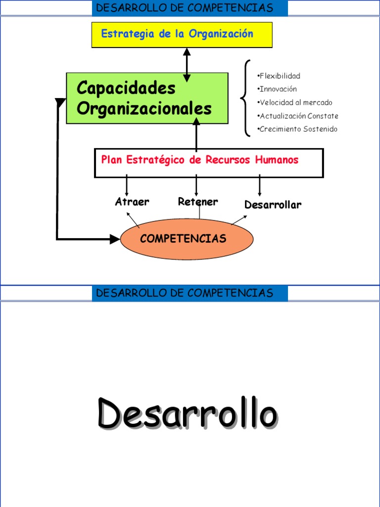 Desarrollo de Competencias | PDF | Gestión de recursos humanos | Business