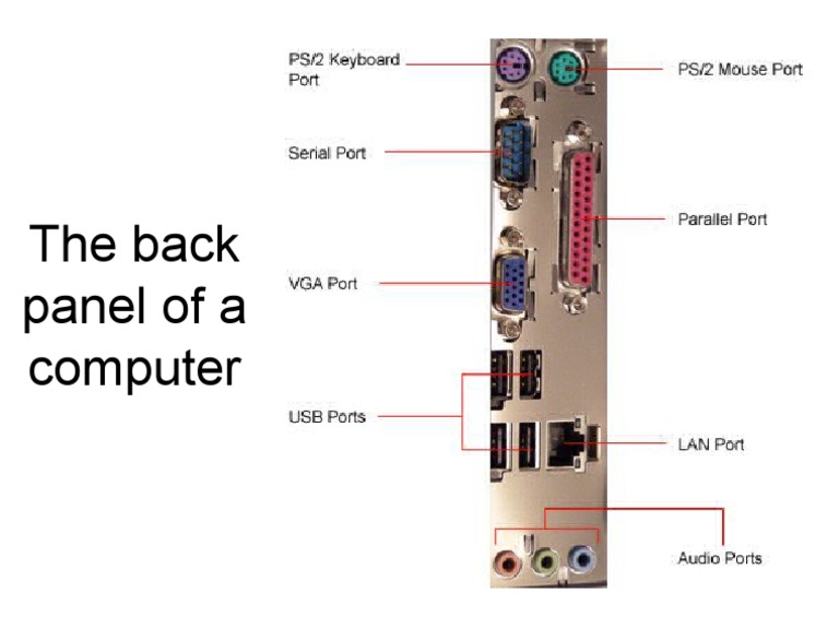 Understanding Computer Back Panels | PDF | Computer Hardware | Equipment