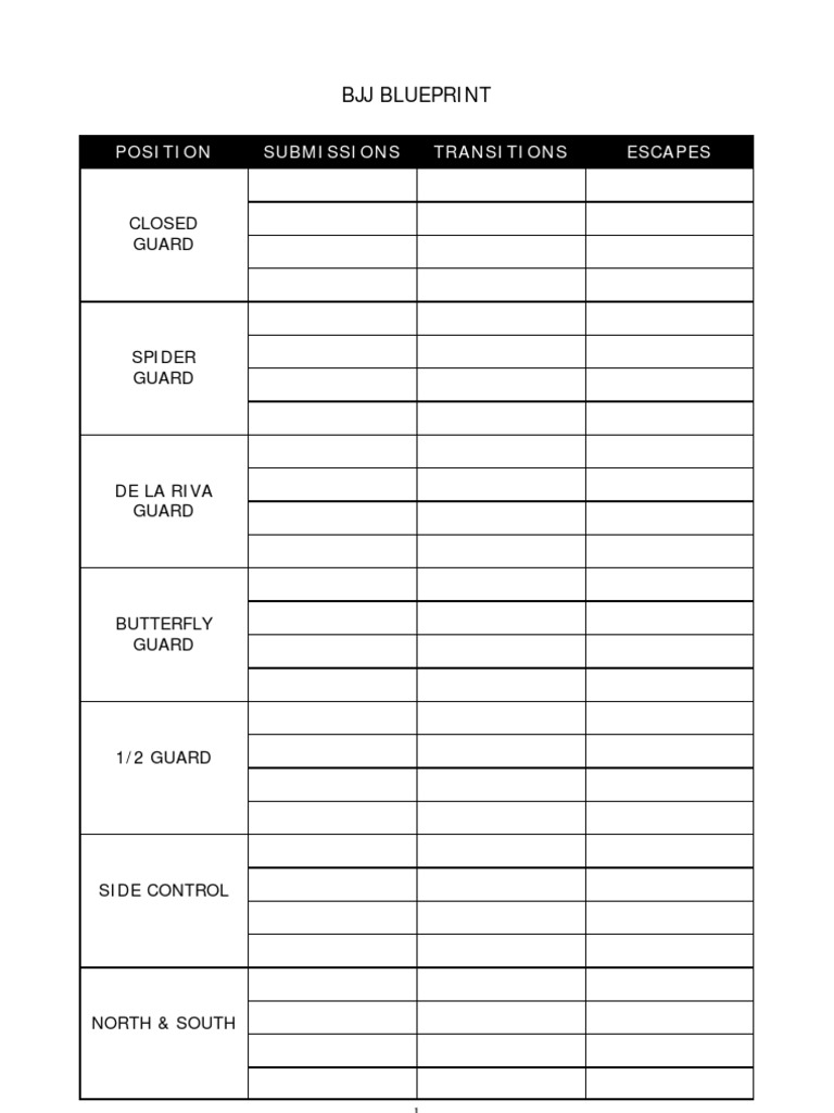 BJJ Positions and Submissions Guide | PDF