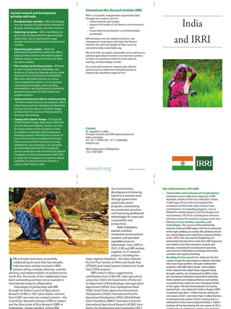 India and IRRI | PDF | International Rice Research Institute | Rice