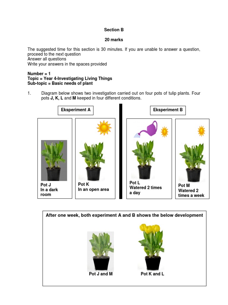 Section B Upsr Science (Repaired) | PDF | Food Preservation | Microorganism