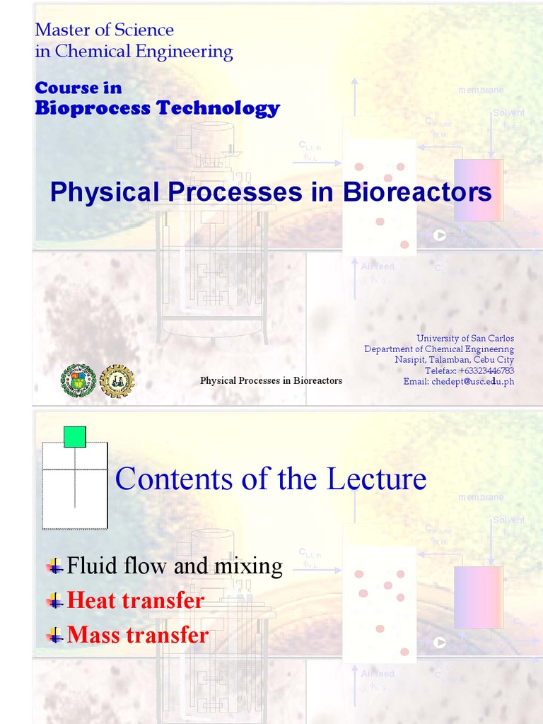 Physical Processes in Bioreactors: Bioprocess Technology | PDF | Diffusion | Heat Transfer