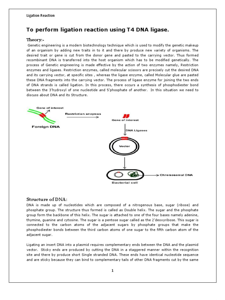Ligation | Download Free PDF | Dna Ligase | Restriction Enzyme
