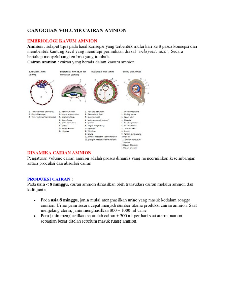 Gangguan Volume Cairan Amnion | PDF