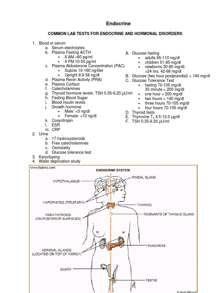 Endocrine: Common Lab Tests For Endocrine and Hormonal Disorders | PDF ...
