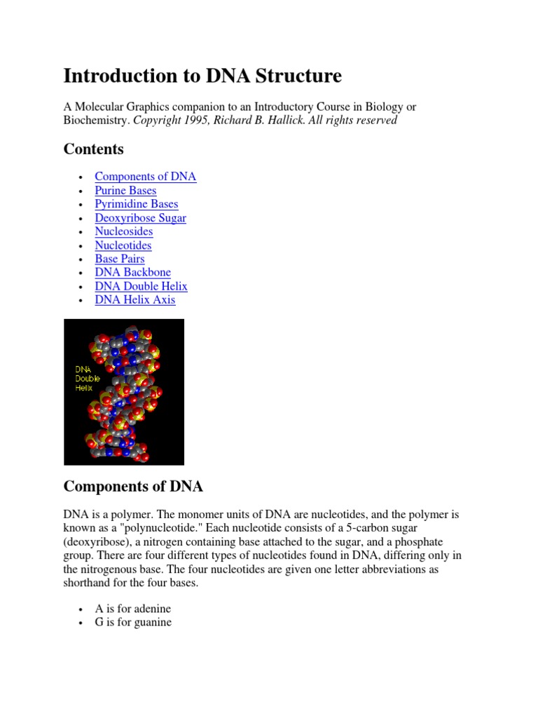 Introduction To DNA Structure... | PDF | Dna | Nucleotides