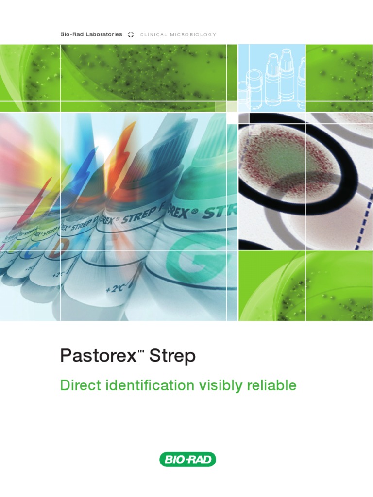 Pastorex Strep | PDF