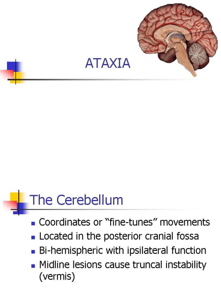 Ataxia | Cerebellum | Epilepsy