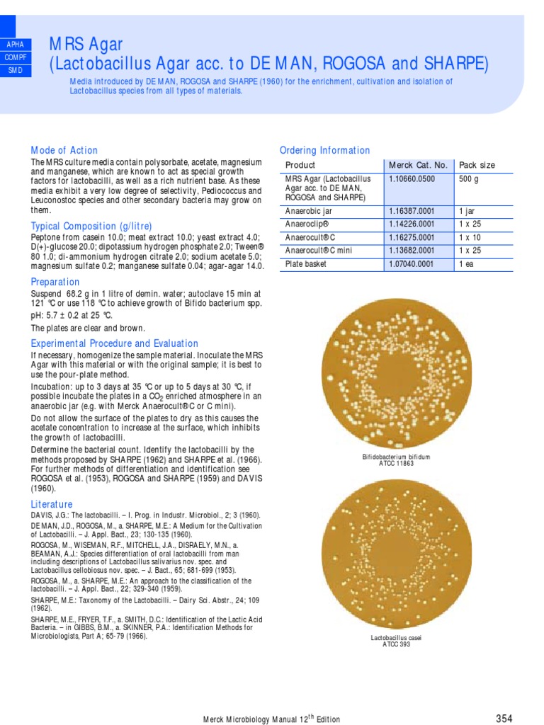 MRS Agar | Lactobacillus | Microbiology