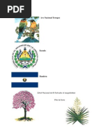 Asocie Simbolos Nacionalesde Costa Rica | PDF