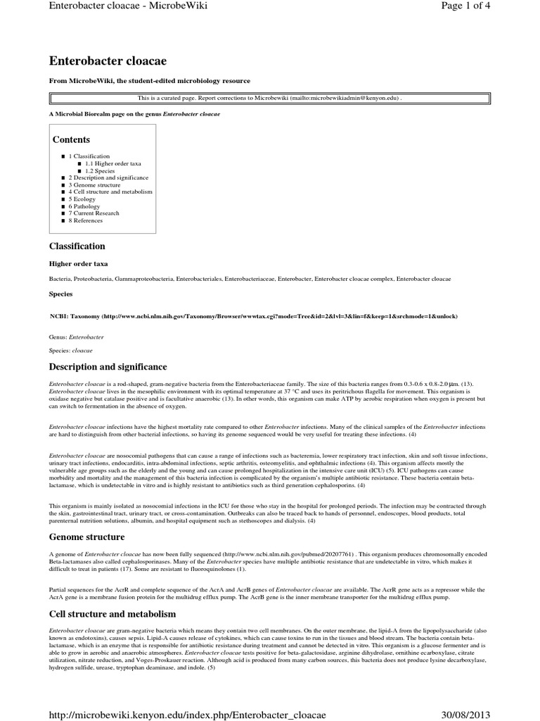 Microbewiki - Kenyon.edu Index - PHP Enterobacter Cloacae | Download ...