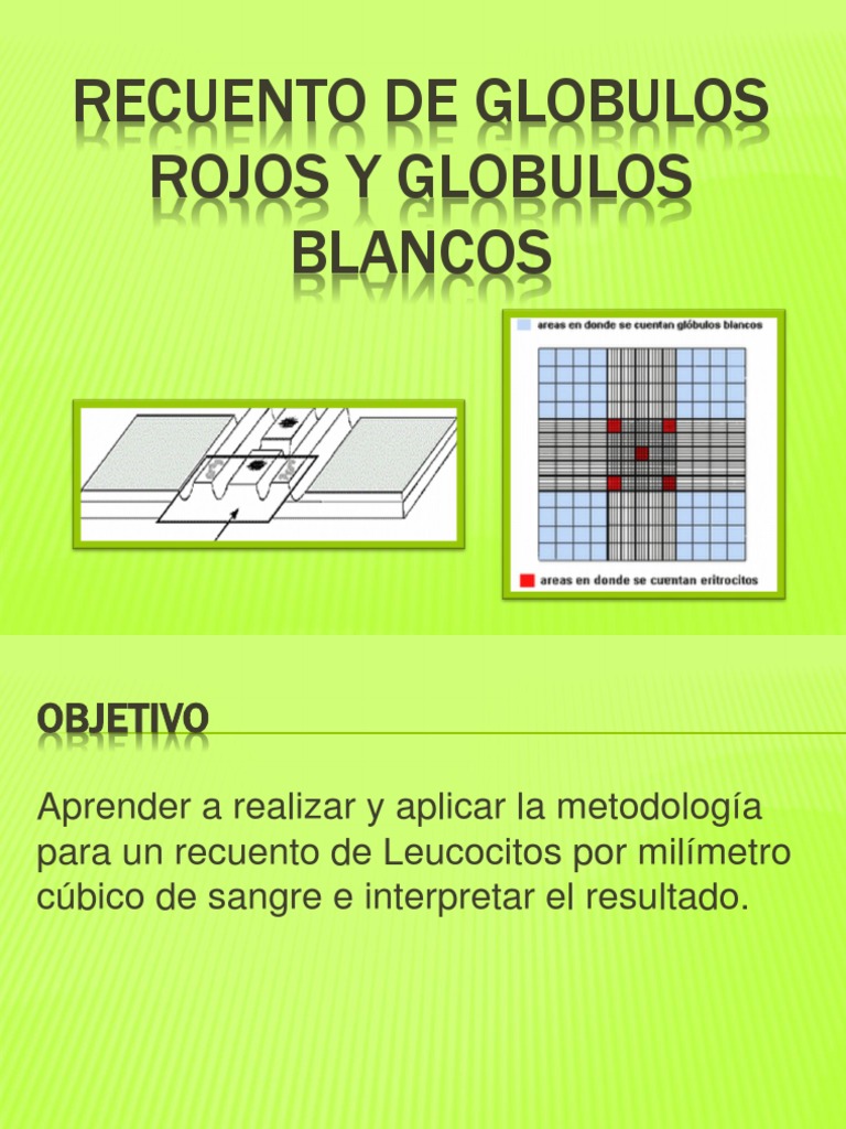 Recuento de Globulos Rojos Y Blancos Abel | PDF | Leucocito | Sangre