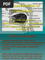 IPA I-Charts (2025) | PDF | Human Voice | Phonetics