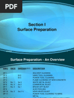 SSPC VIS-3 Visual Standards for Steel | PDF
