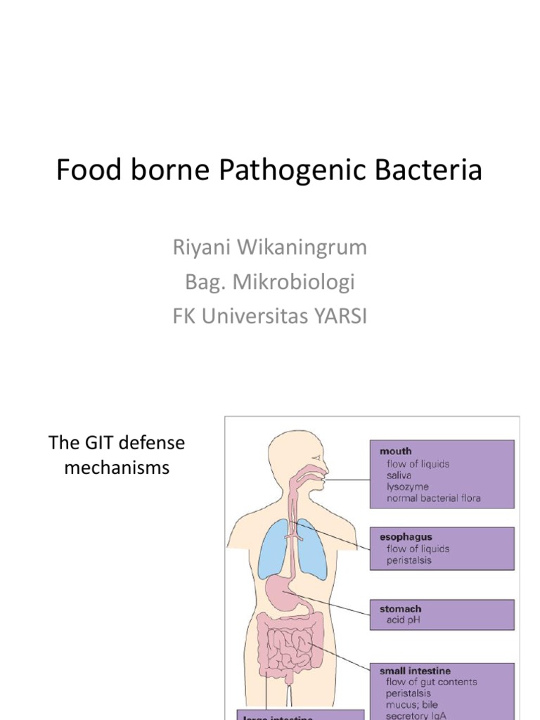 Git Pathogenic Bacteria | PDF | Gastrointestinal Tract | Diarrhea