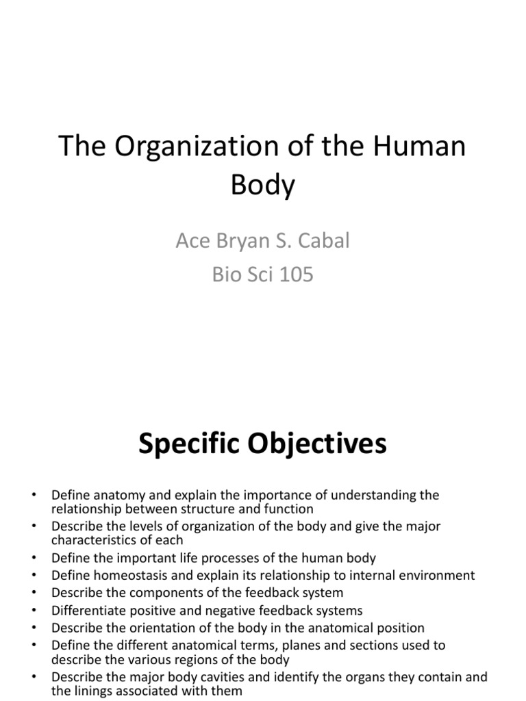 The Organization of The Human Body | PDF | Human Body | Anatomical ...