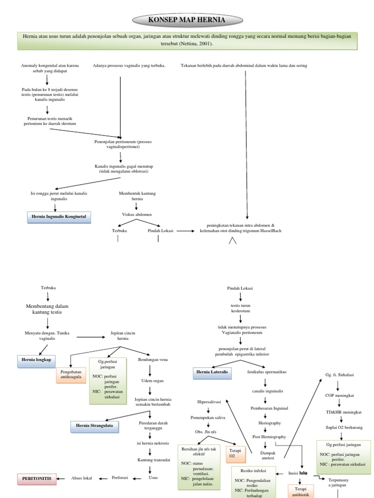 Konsep MAP Hernia-1 | PDF | Kesehatan Holistik
