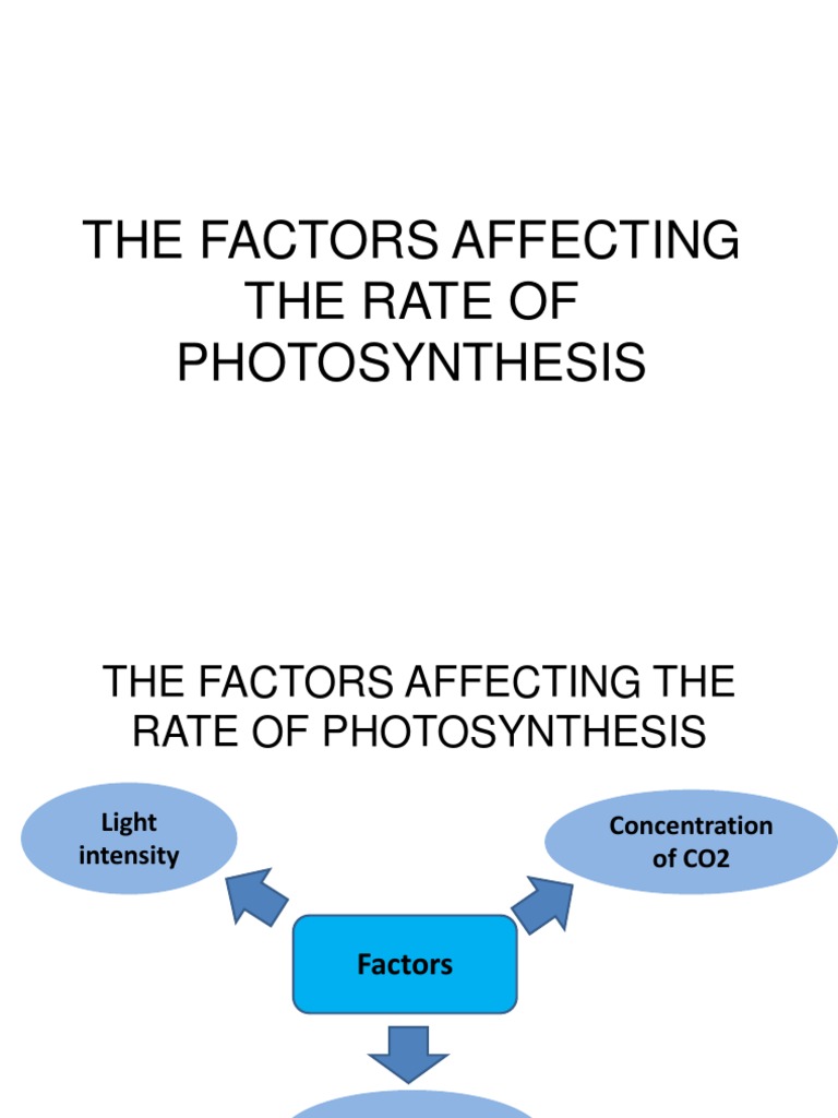 The Factors Affecting the Rate of Photosynthesis | Photosynthesis ...