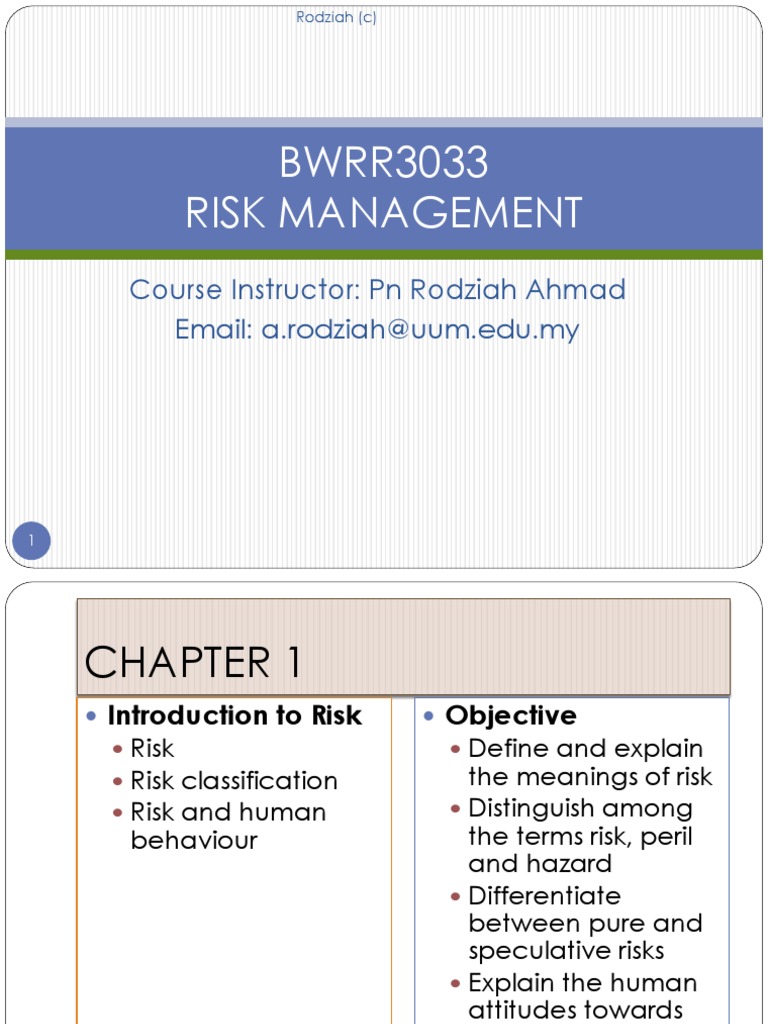 Chapter 01: Introduction To Risk | PDF