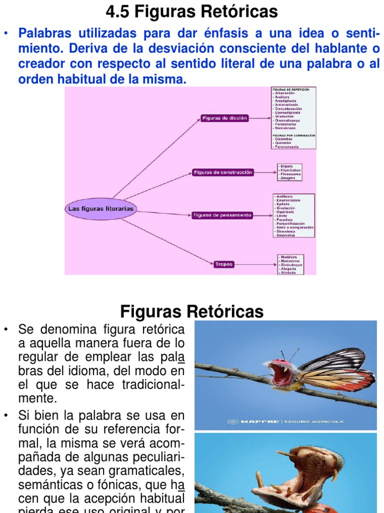 4.5 Figuras retoricas | Metáfora | Semántica