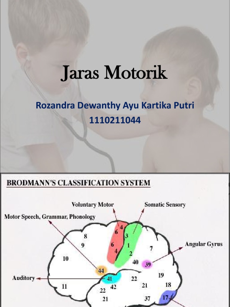 Jaras Motorik | PDF