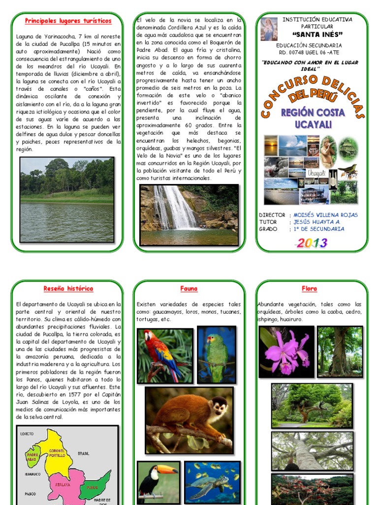 Tríptico Región Costa Ucayali | PDF