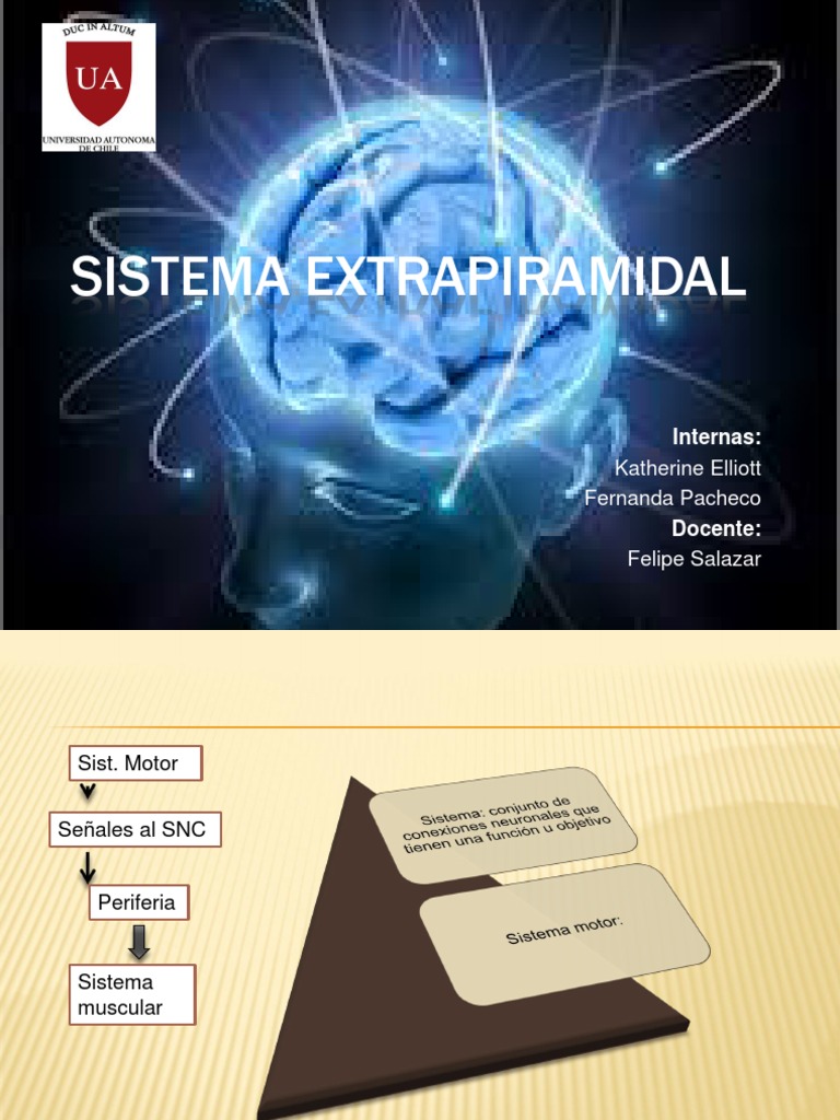 Sistema Extrapiramidal | PDF | Ganglios basales | Anatomía