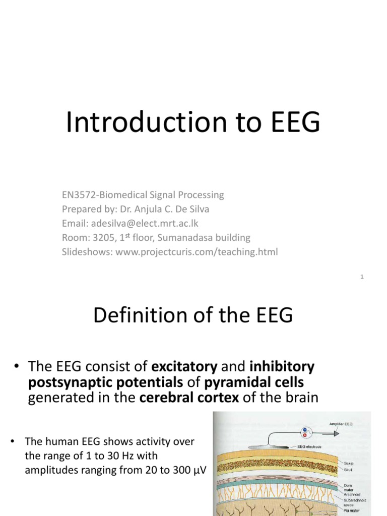 Introduction To EEG | PDF | Chemical Synapse | Excitatory Postsynaptic ...