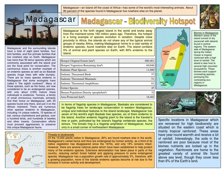 Biodiversity Hotspot: Madagascar | Madagascar | Rainforest
