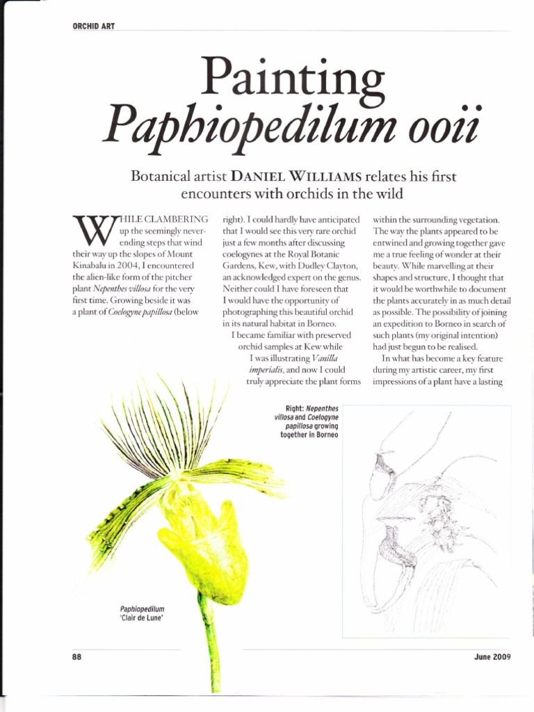 Exploring Paphiopedilum ooii | PDF | Organisms | Horticulture And Gardening